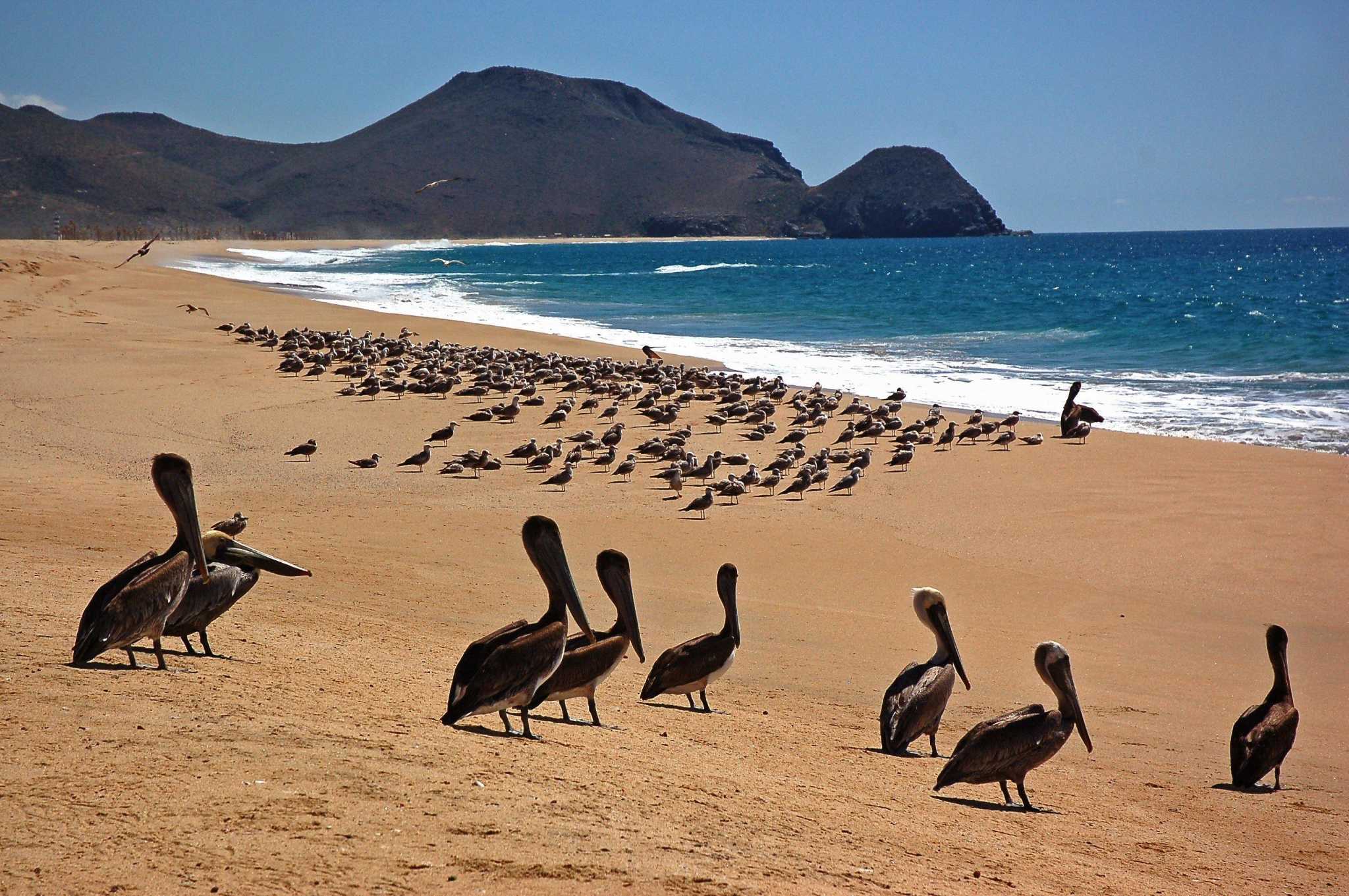 17 attractive destinations for 2017