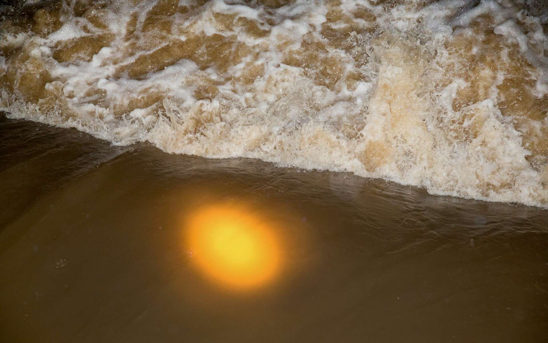 Flooded Yolo Bypass looks like an ocean for the first time in a decade