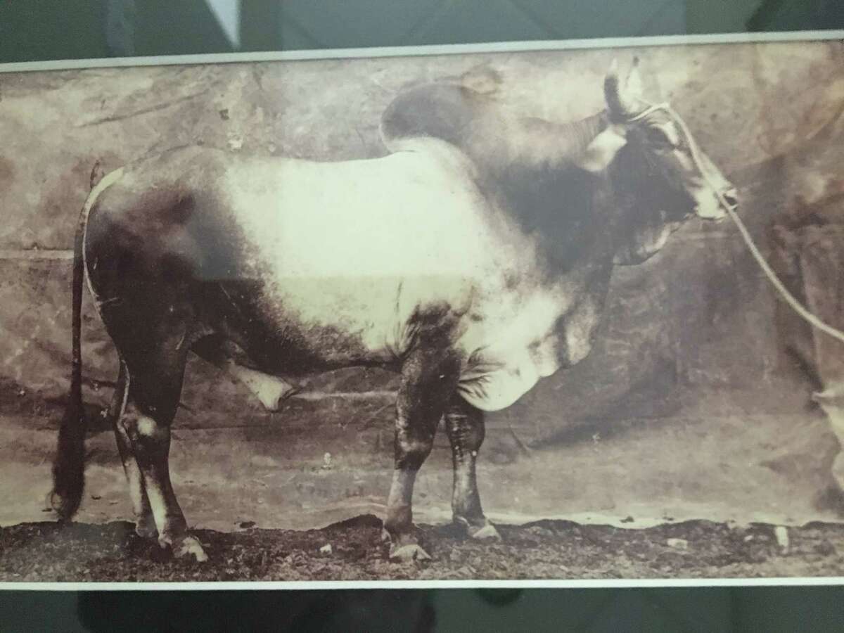 Wharton-area rancher was larger than life - just like his statue