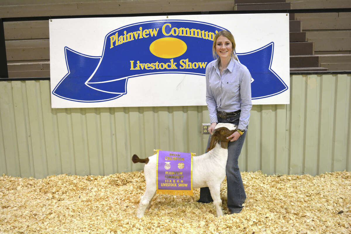 Grand Champion Goat -- Plainview Community Stock Show