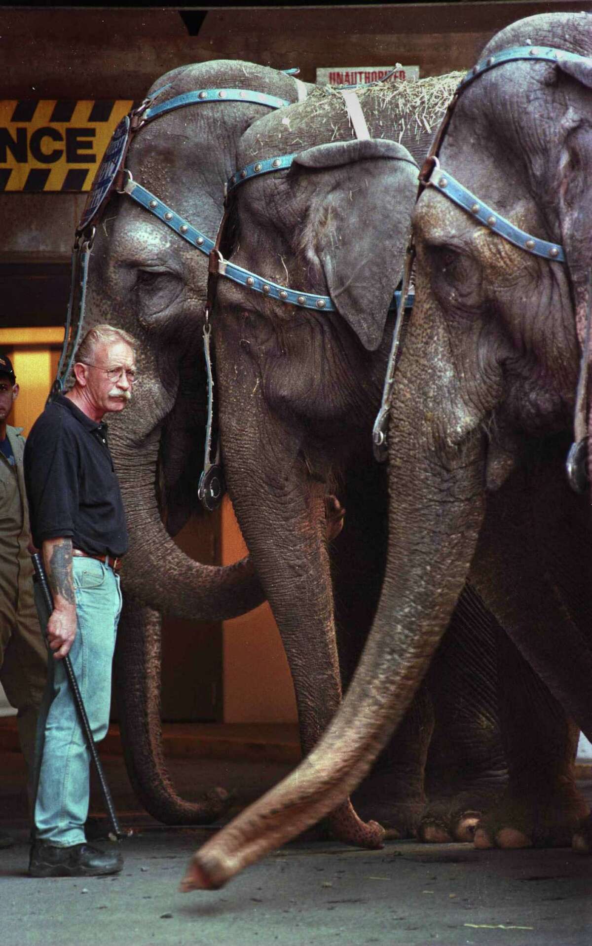 Photos: When Ringling Bros. circus came to town