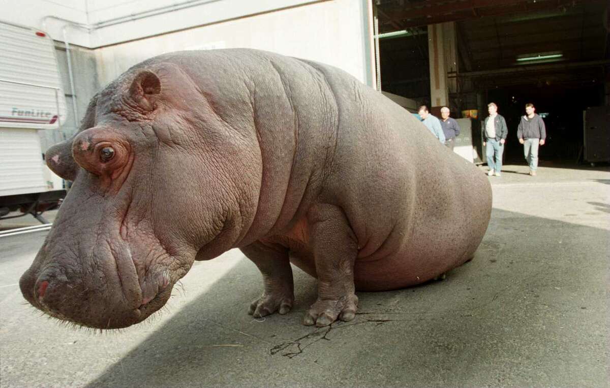 Photos: When Ringling Bros. circus came to town