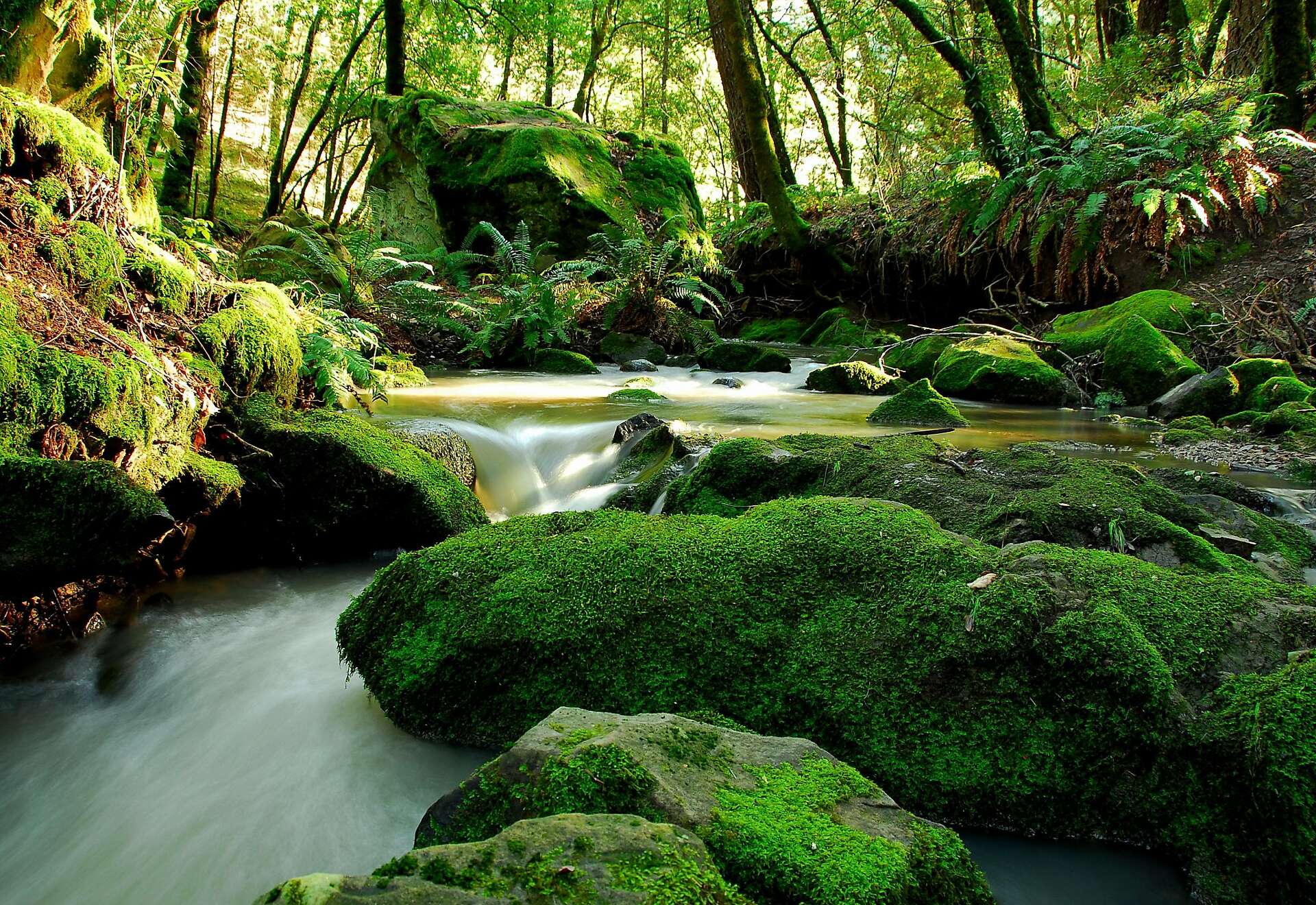 Tracing Bay Area rivers from skyline to sea
