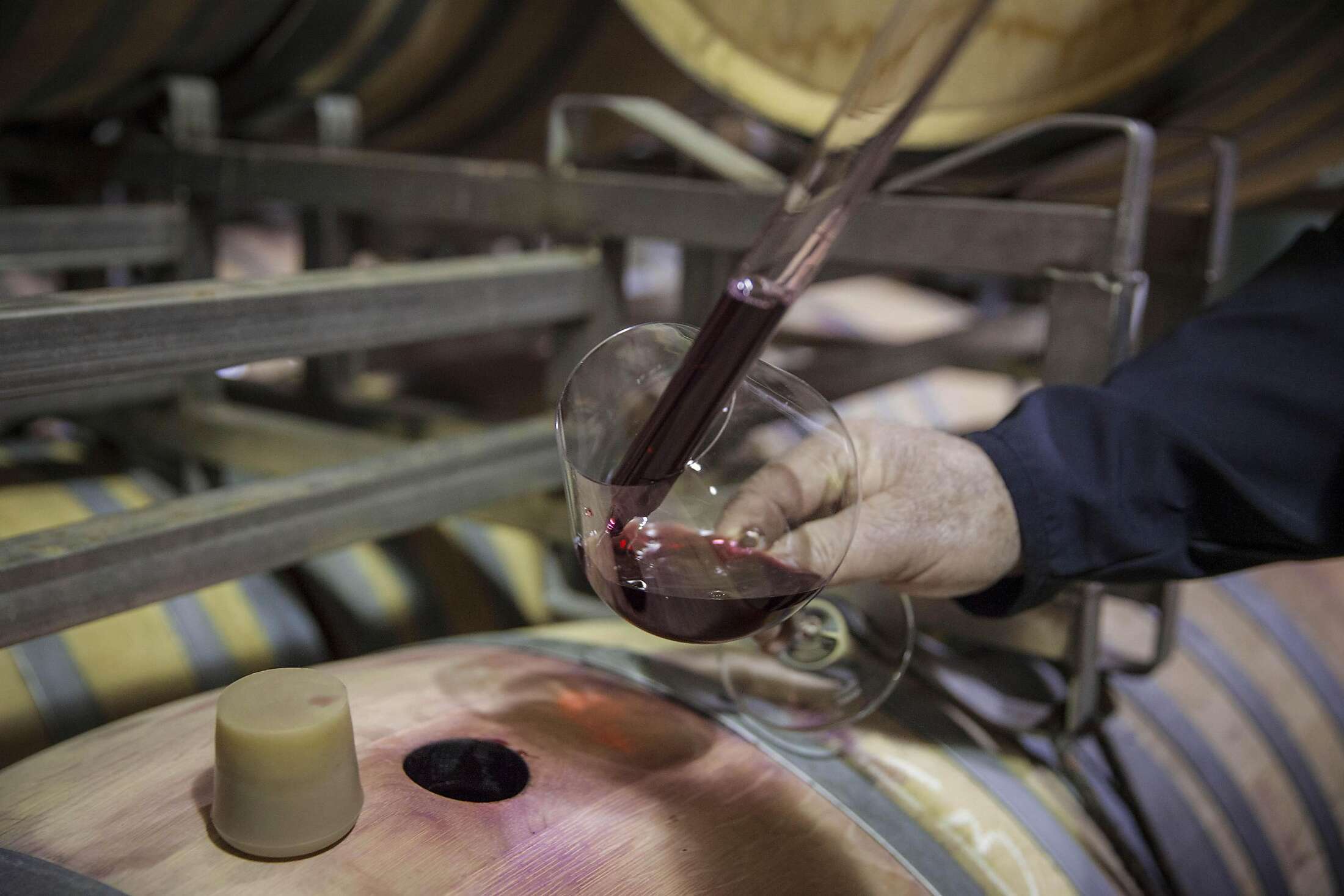 Rochioli Vineyards has deep roots in Healdsburg