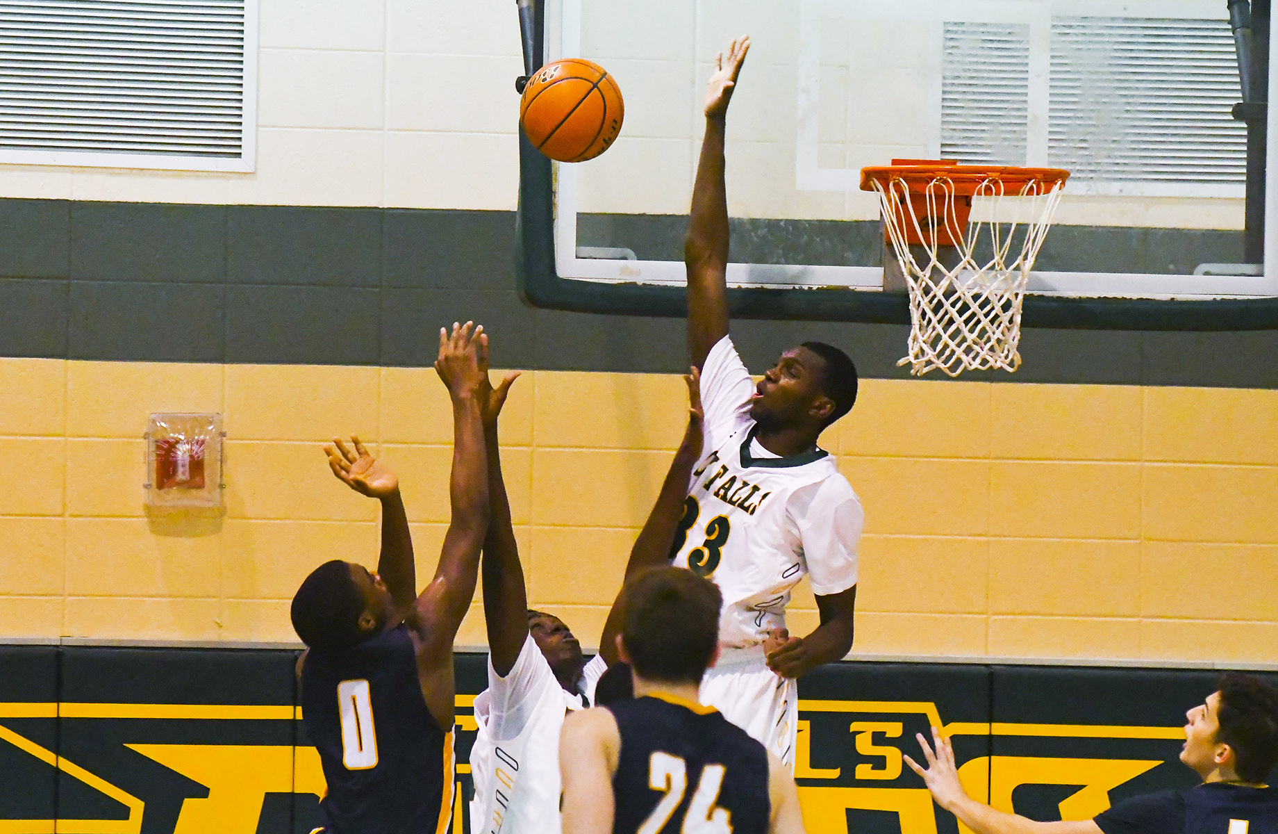 Houston HS basketball primer: Jan. 20