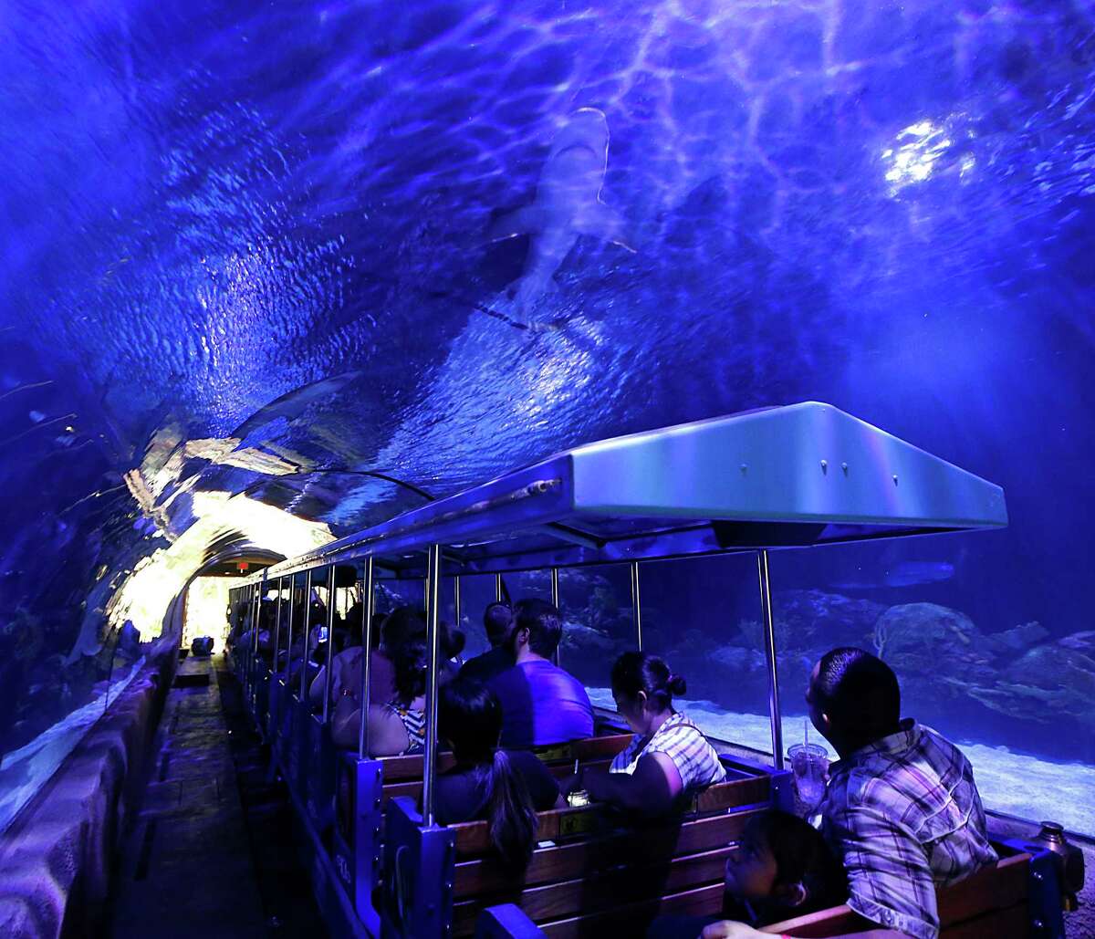 Area tourist attractions to visit during Super Bowl LI