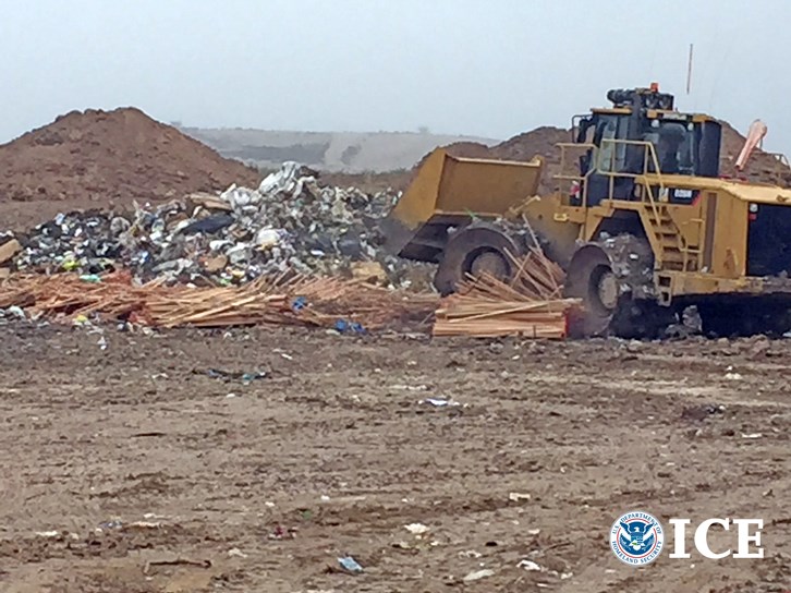 Illegally harvested Amazon wood destroyed in unusual U.S. settlement