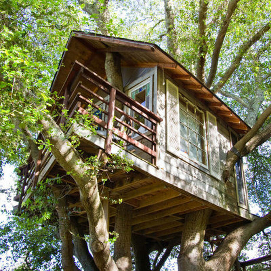 11 amazing treehouse designs - SFGate