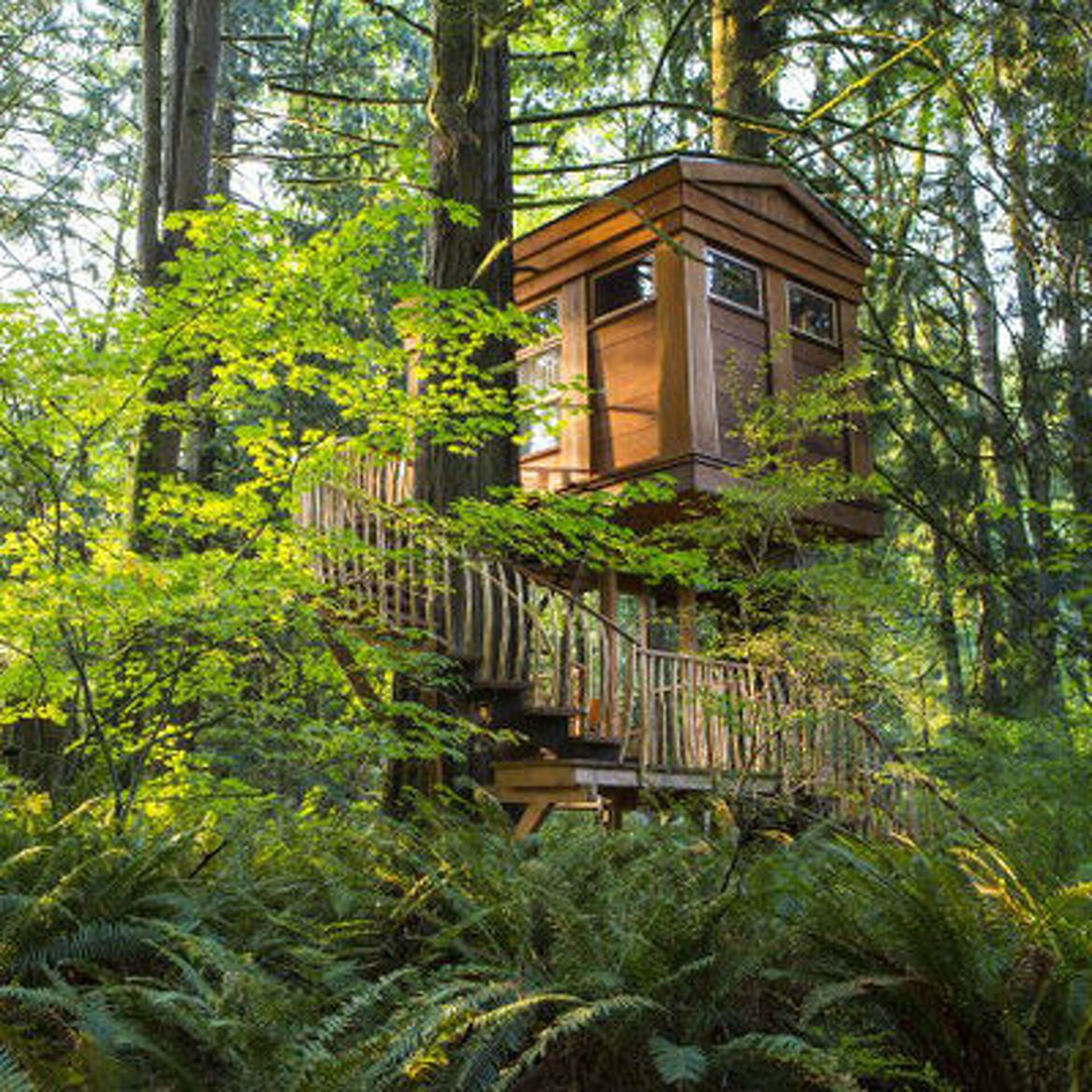 11 amazing treehouse designs