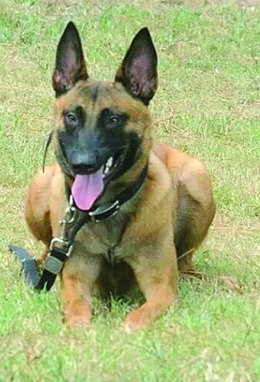 With K9 donation, Pct. 5 constable hopes to curb drugs