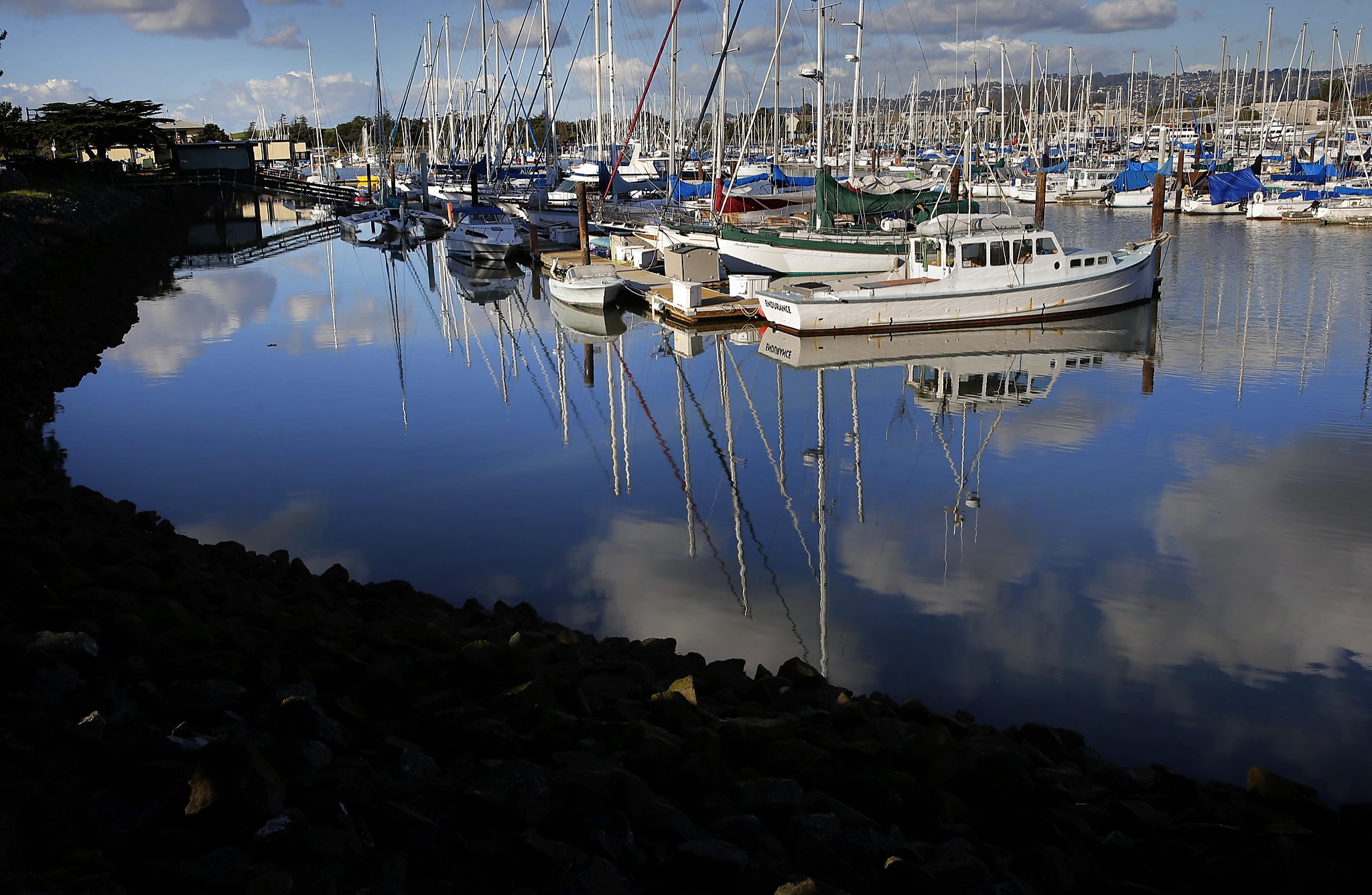 Boatload of birdwatchers rescued when ferry goes aground near Berkeley
