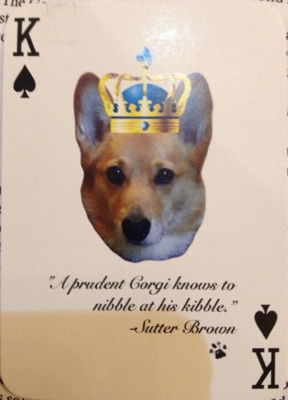 California's late, beloved first dog Sutter Brown lives on at State of ...