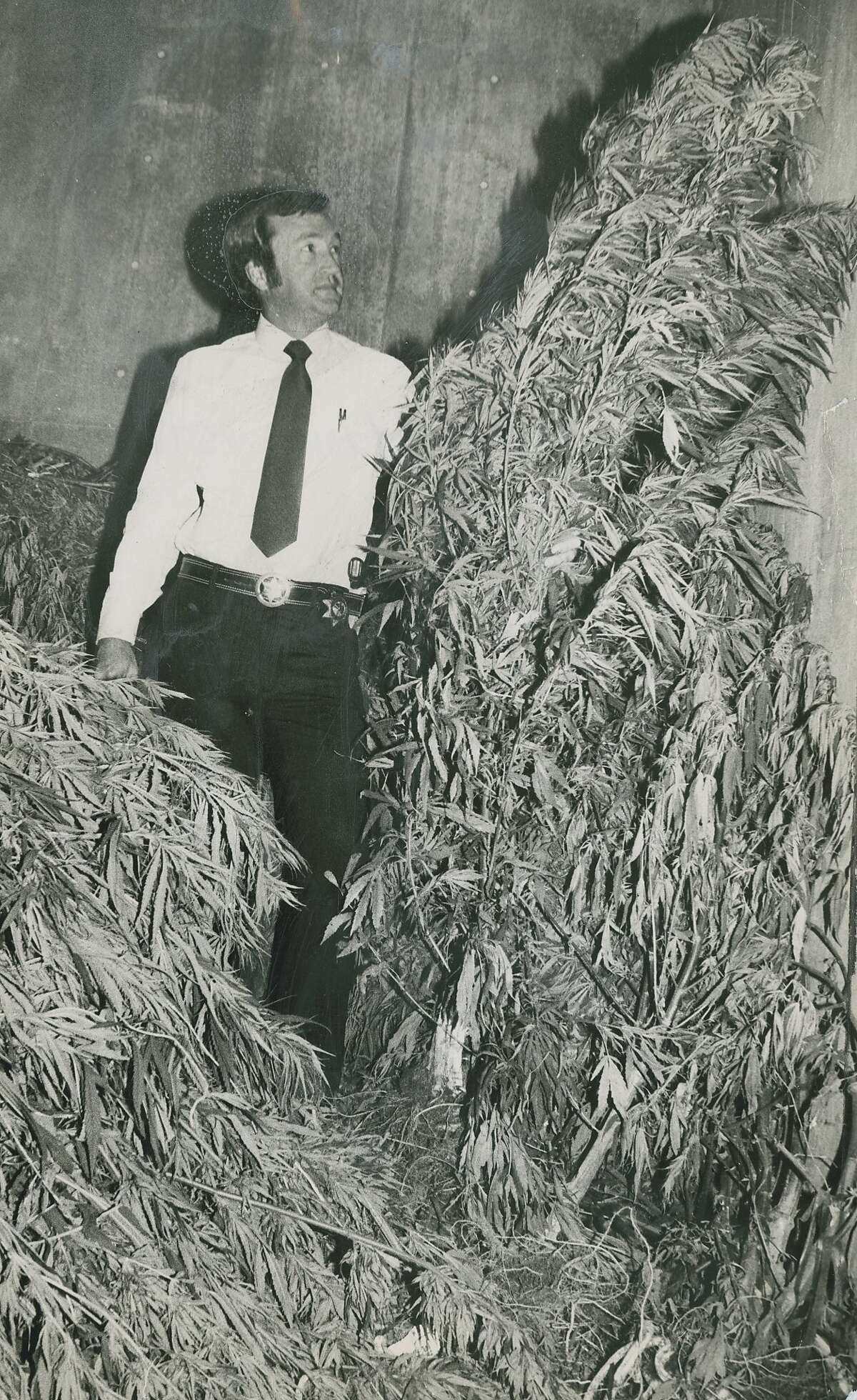 You won't see this much longer: Classic photos of Bay Area pot busts