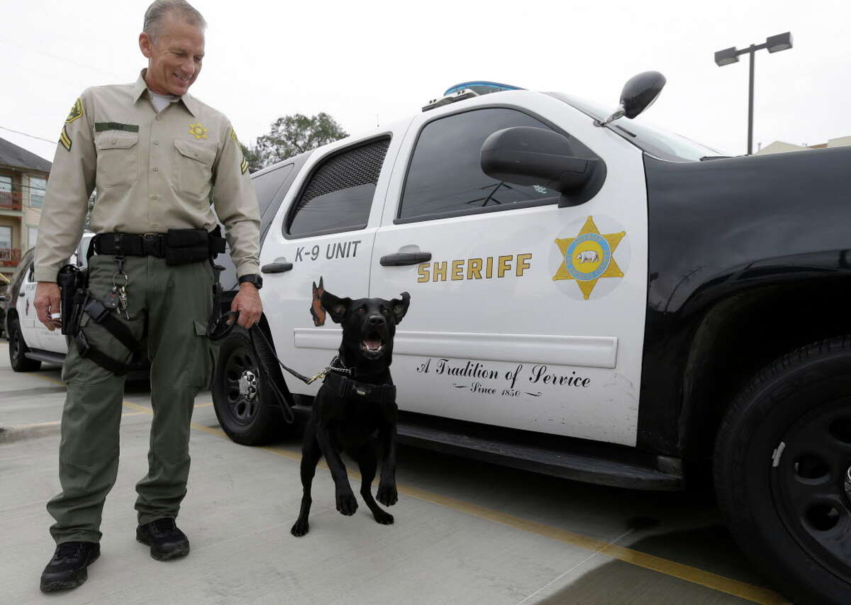 K9 police celebrate Bring Your Dog to Work Day today ... and every day