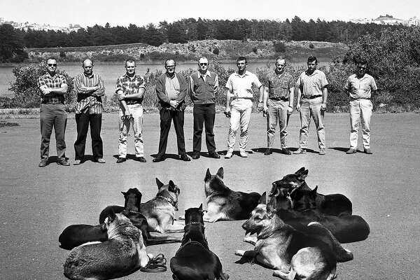 SFPD’s first K-9 corps protected, served and sacrificed - SFChronicle.com