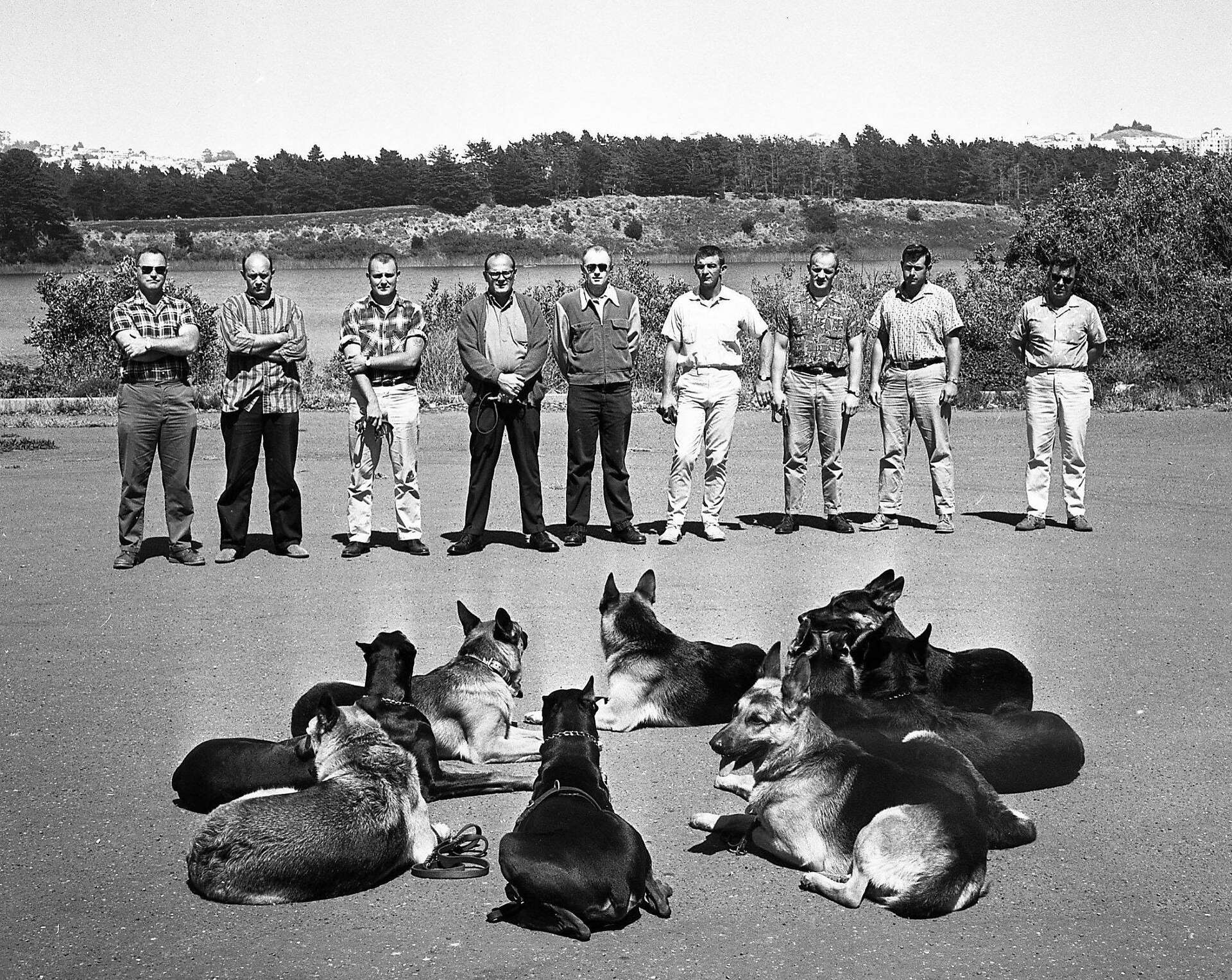 SFPD’s first K-9 corps protected, served and sacrificed