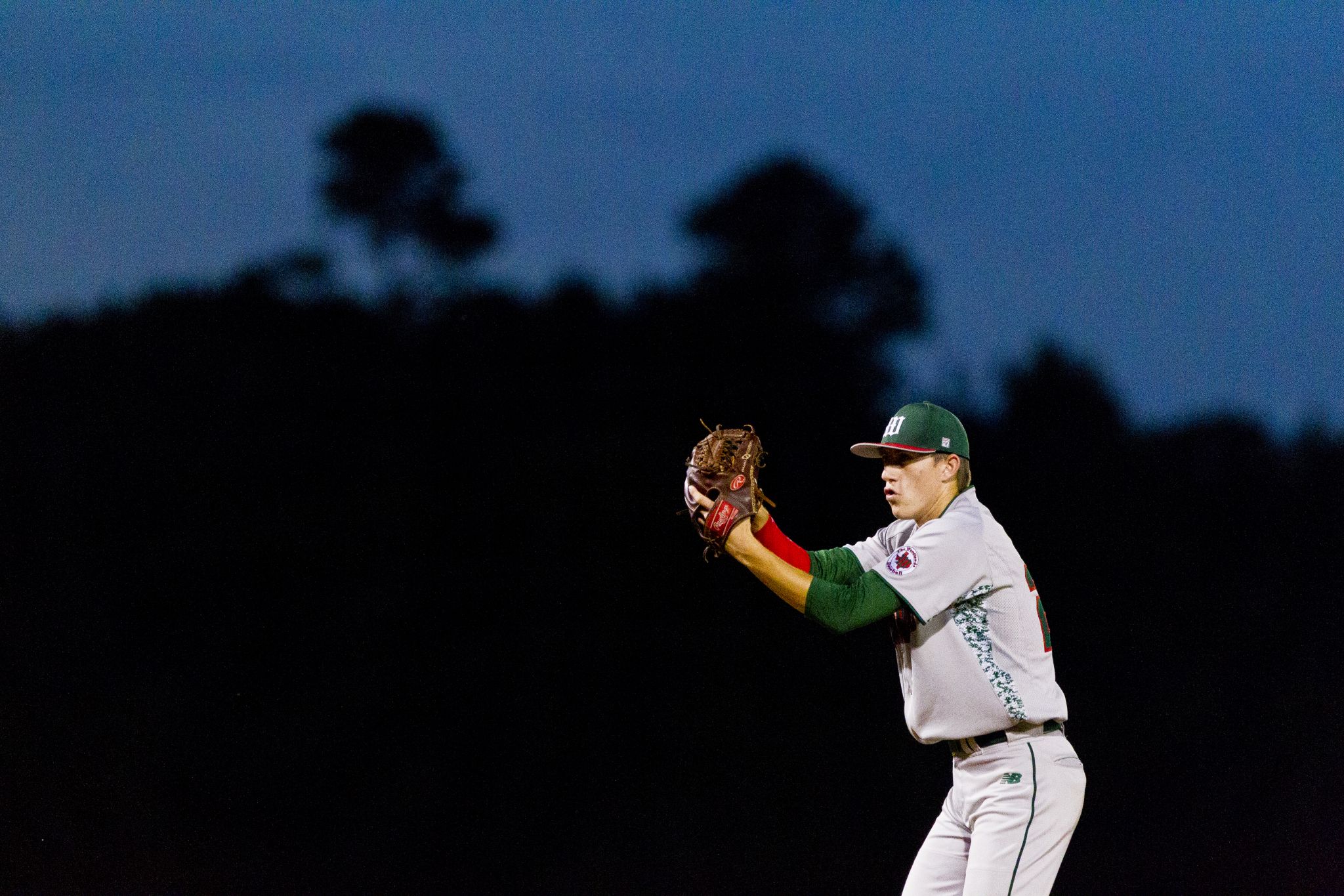 Top Baseball Photos of 2016
