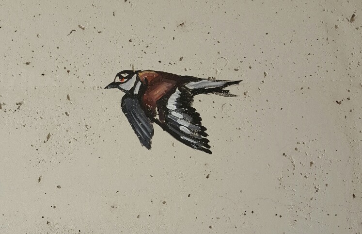 Vandal painting beautiful animal portraits in Texas city tunnel; city ...