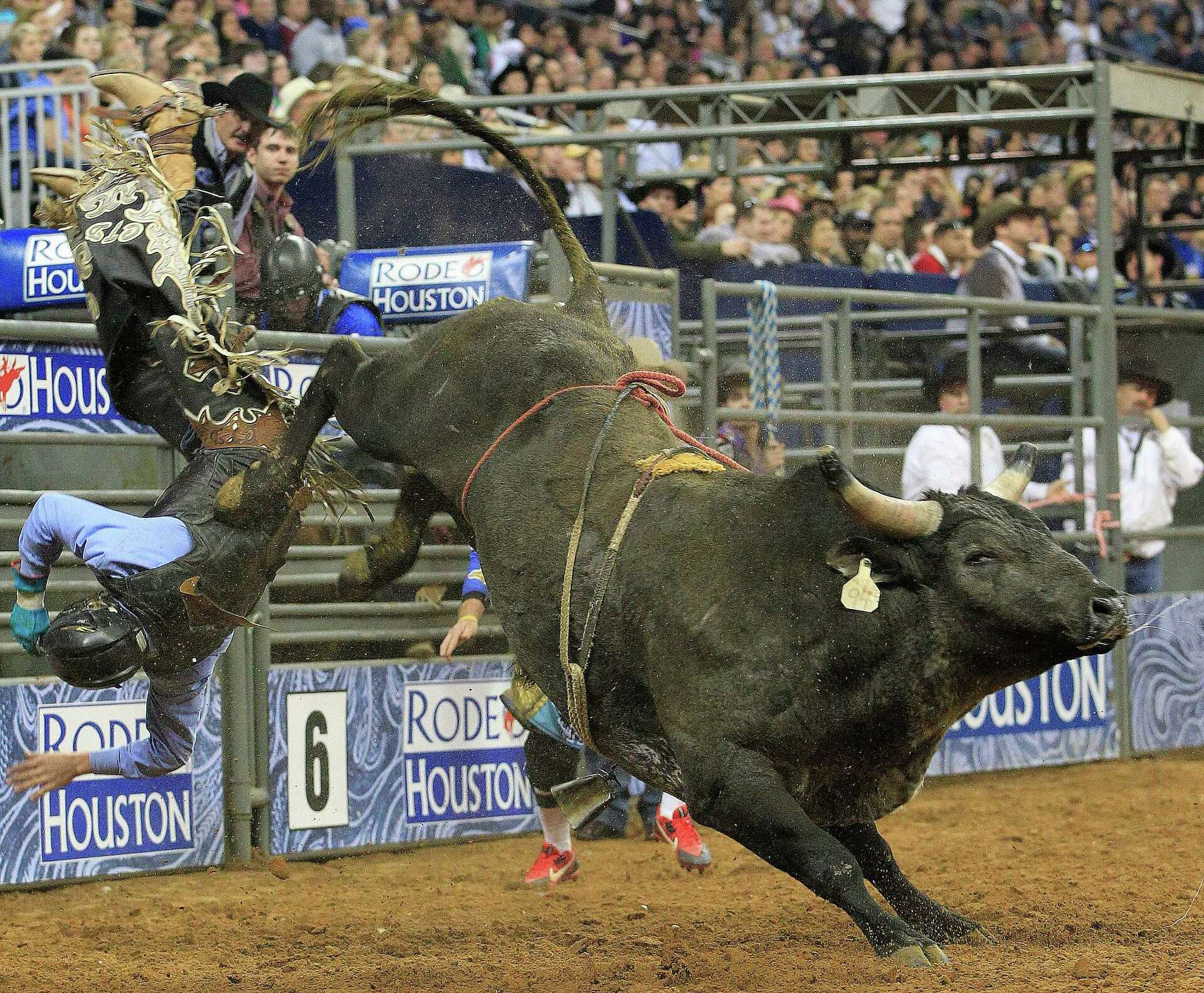 Concussions don't deter most bull riders