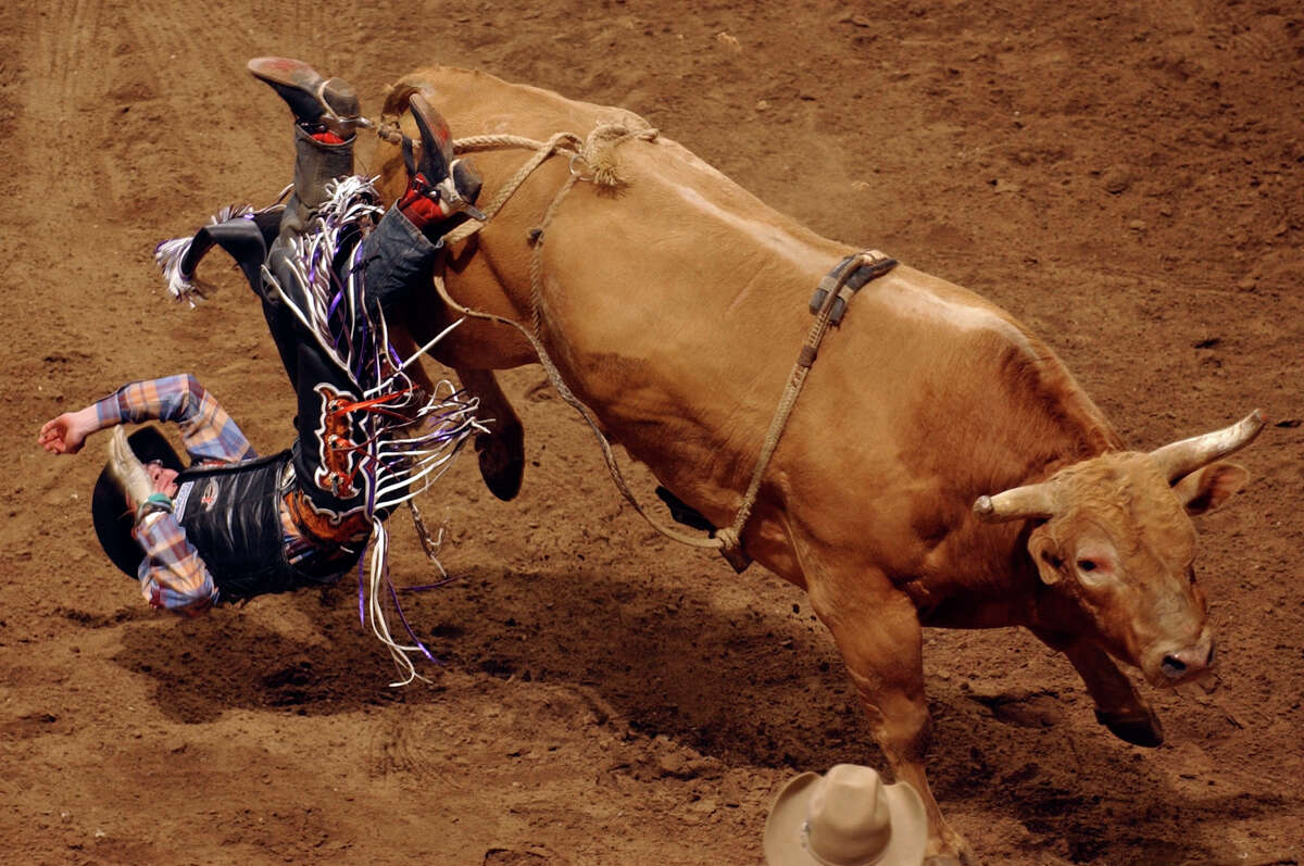 For some, love of bull riding outweighs potentially deadly risks