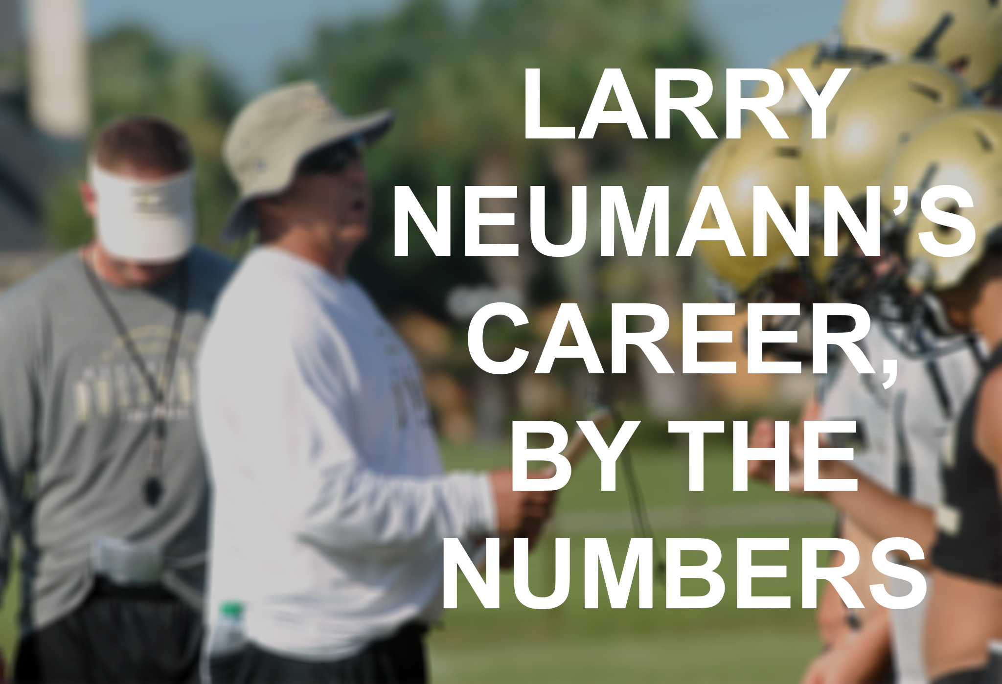 Larry Neumann's career by the numbers