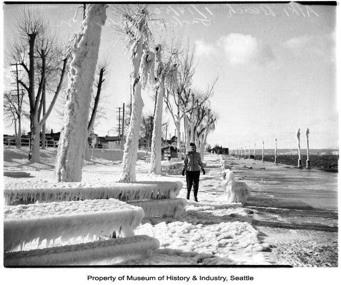 Newly released archival video shows life during January 1950 snowstorm ...