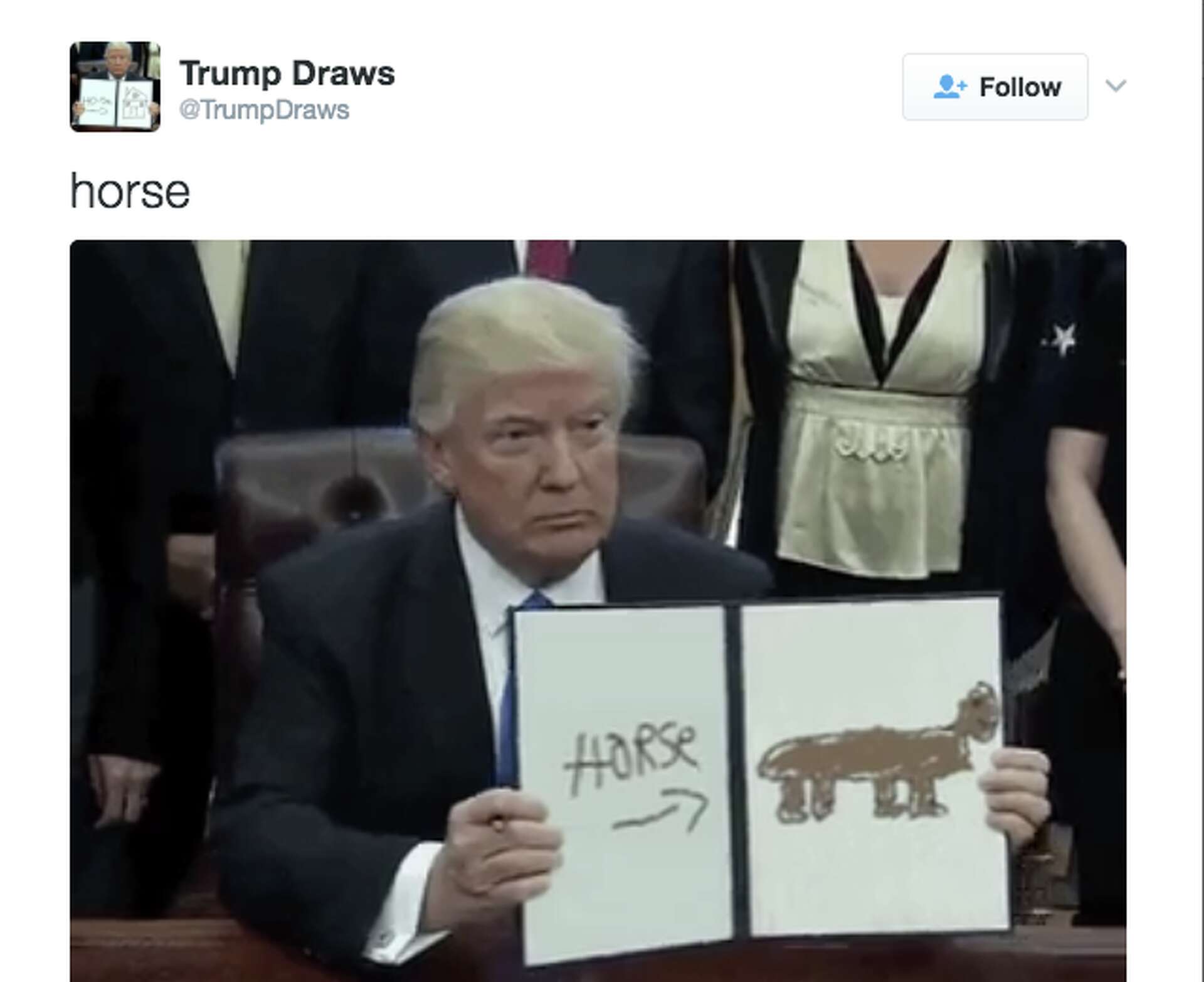 Social media turning Trump's executive orders into memes with hilarious ...