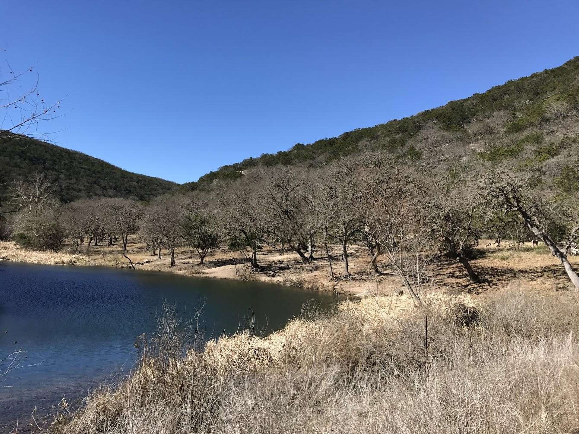 14 things to know about Lost Maples State Natural Area