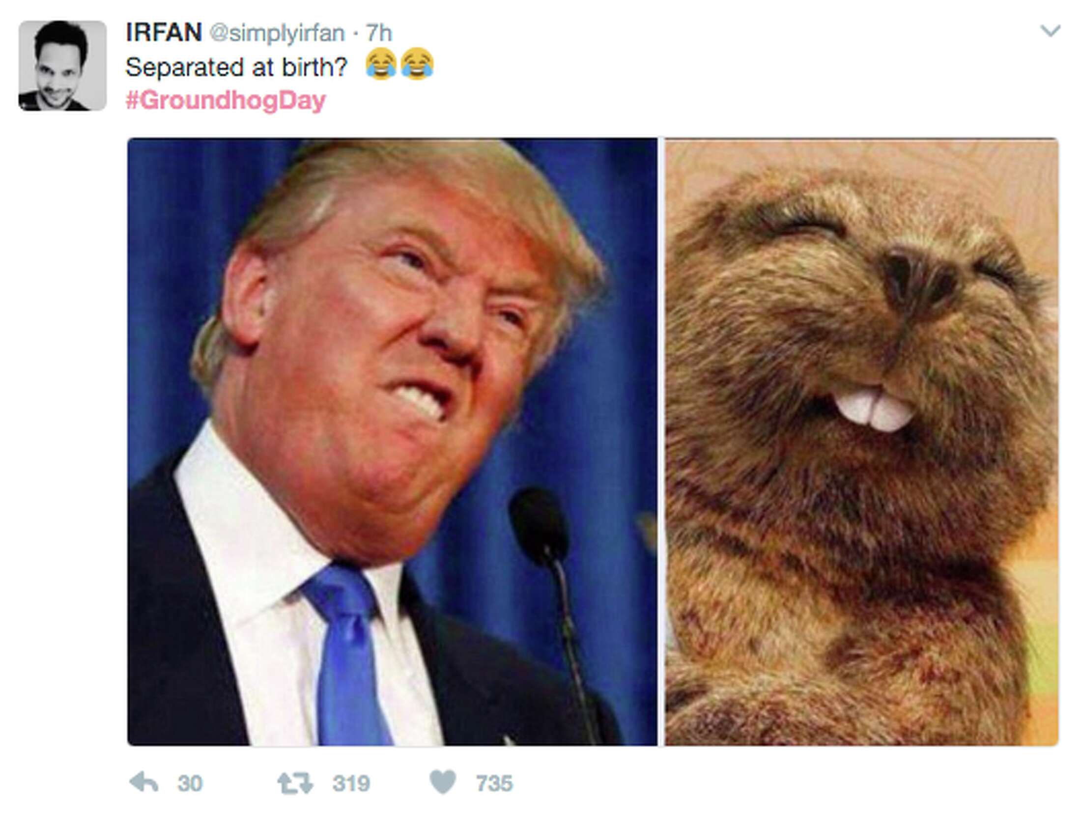 Groundhog Day memes reflect the times, get very political