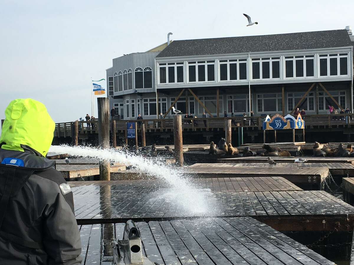 Roll up your sleeves for the dirtiest jobs in the Bay Area