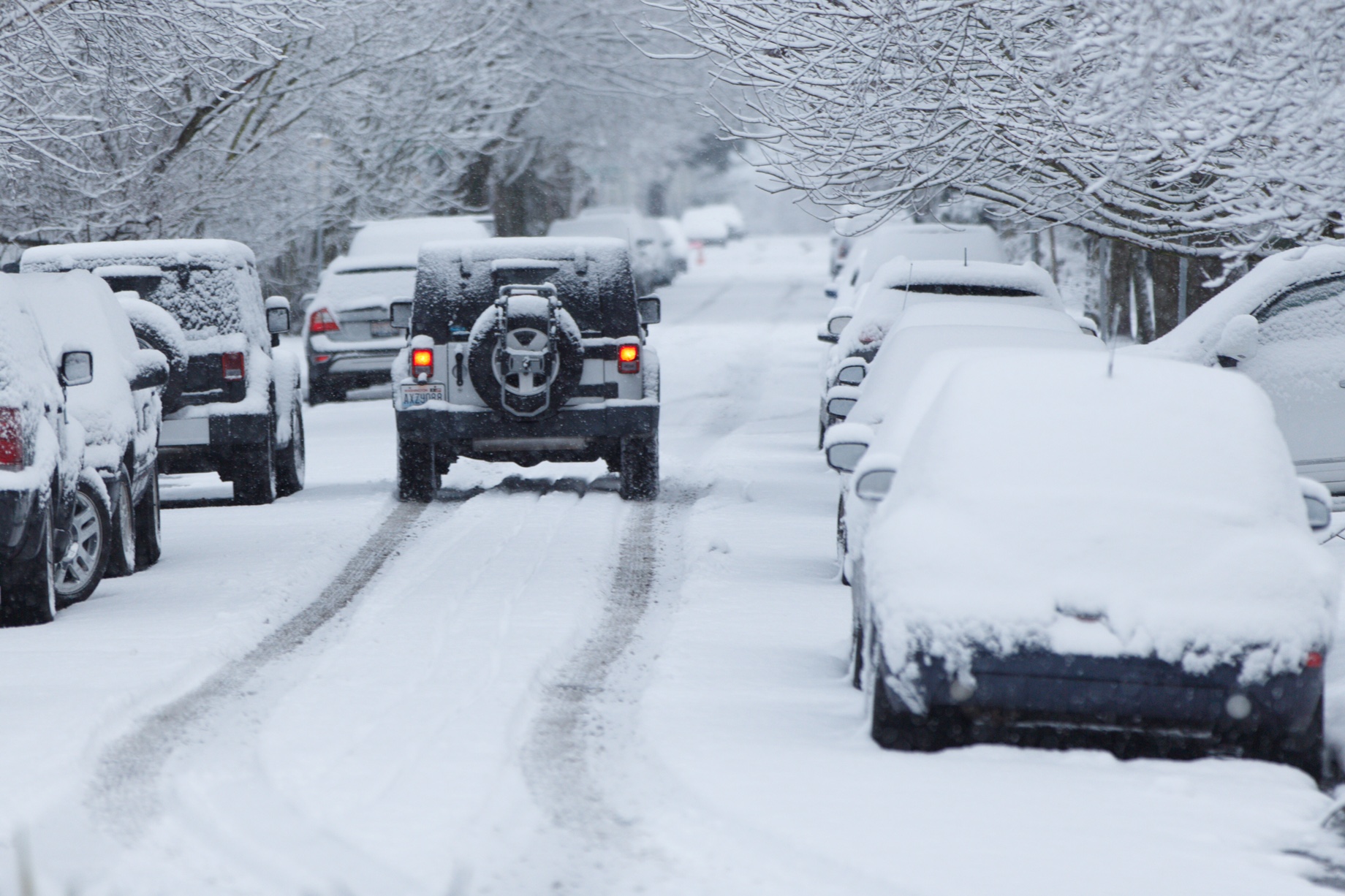 Western Washington could see snow this weekend