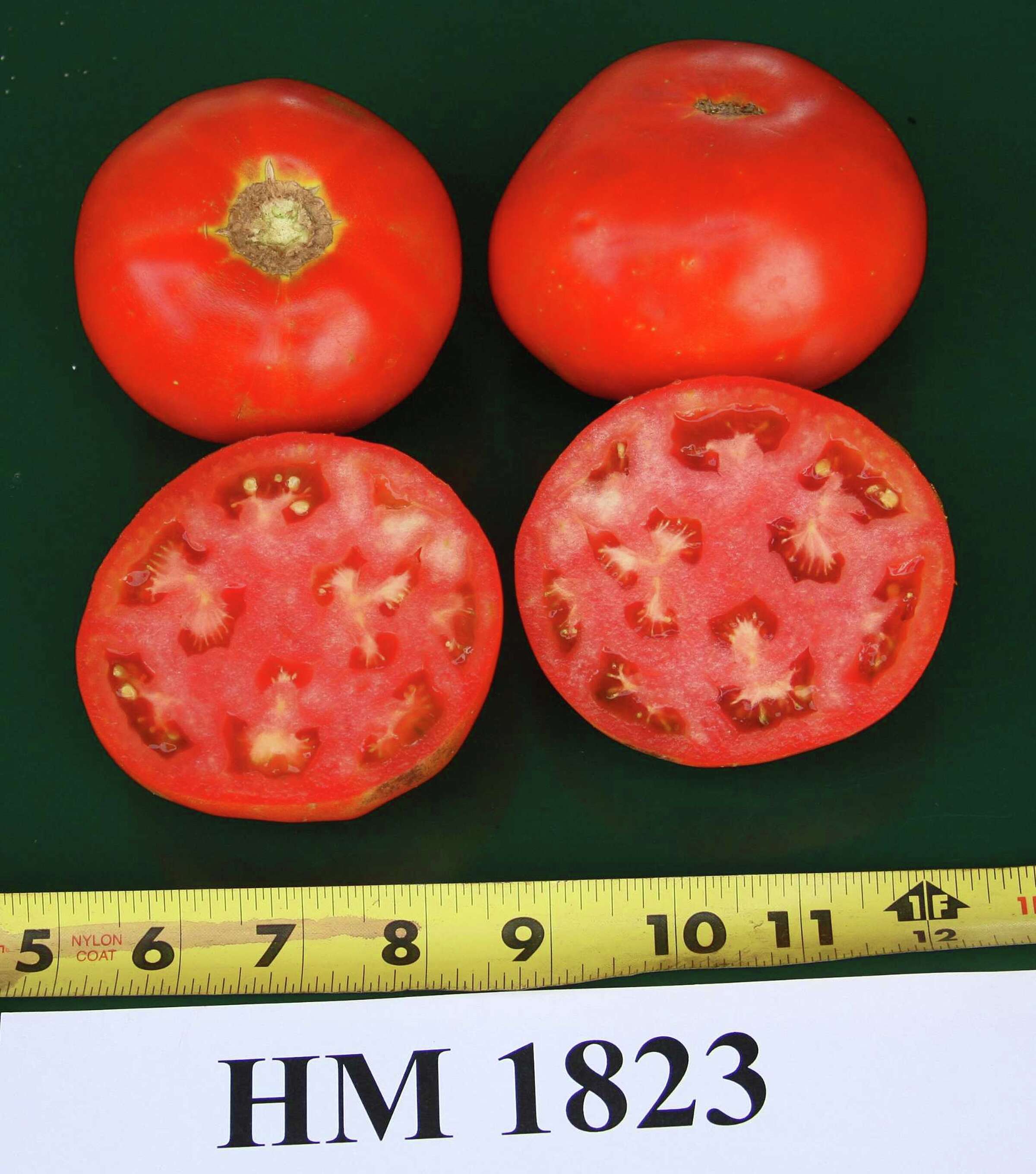 Calvin Finch: All hail the new 2020 Rodeo Tomato: Red Snapper