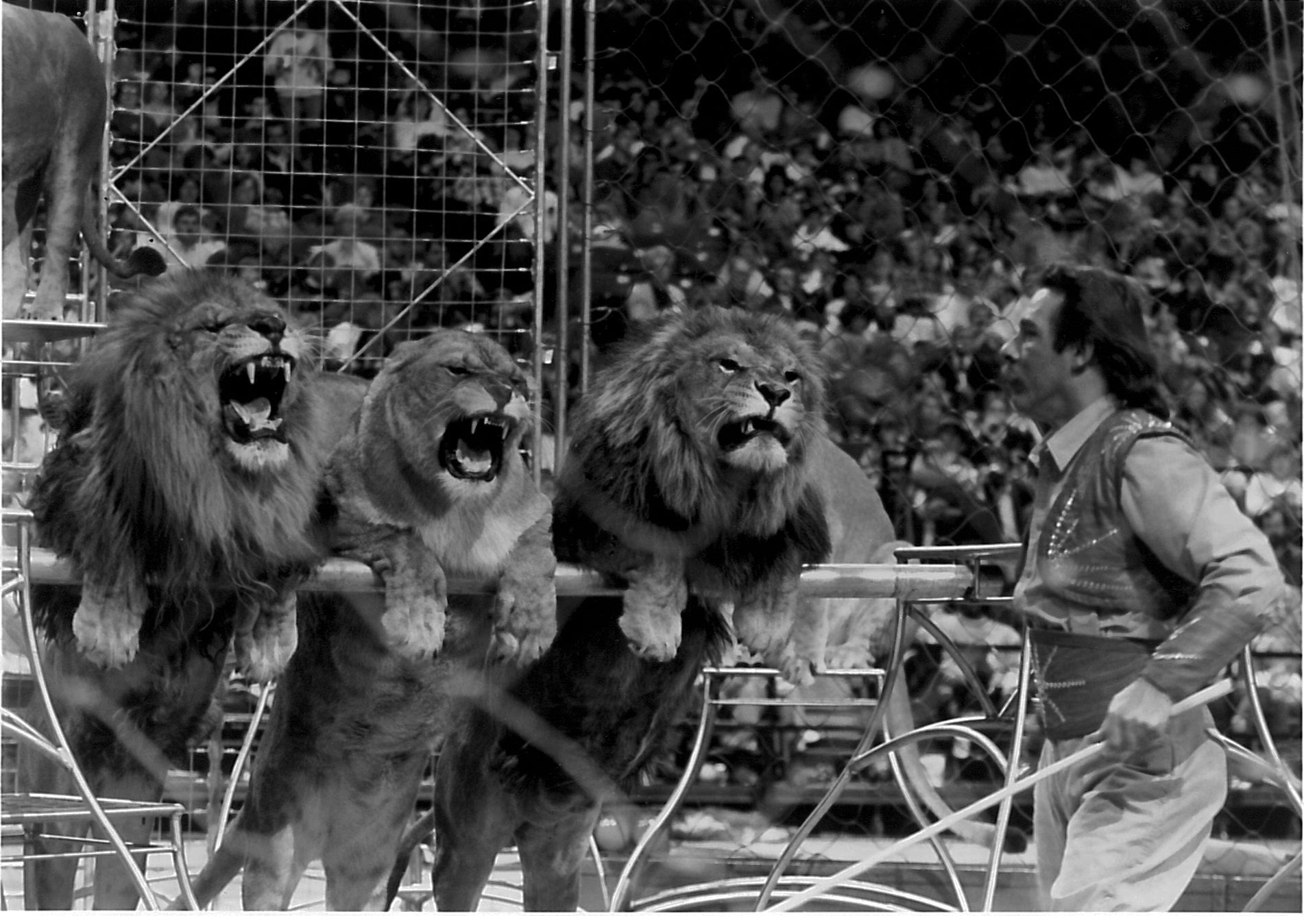 Photos: Ringling Bros. past visits to Southeast Texas
