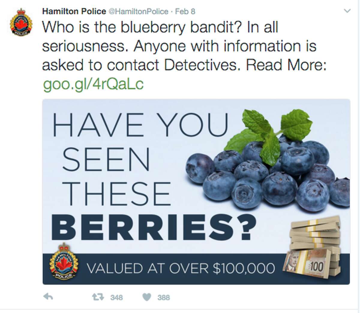 'Blueberry bandit' steals $100k worth of berries