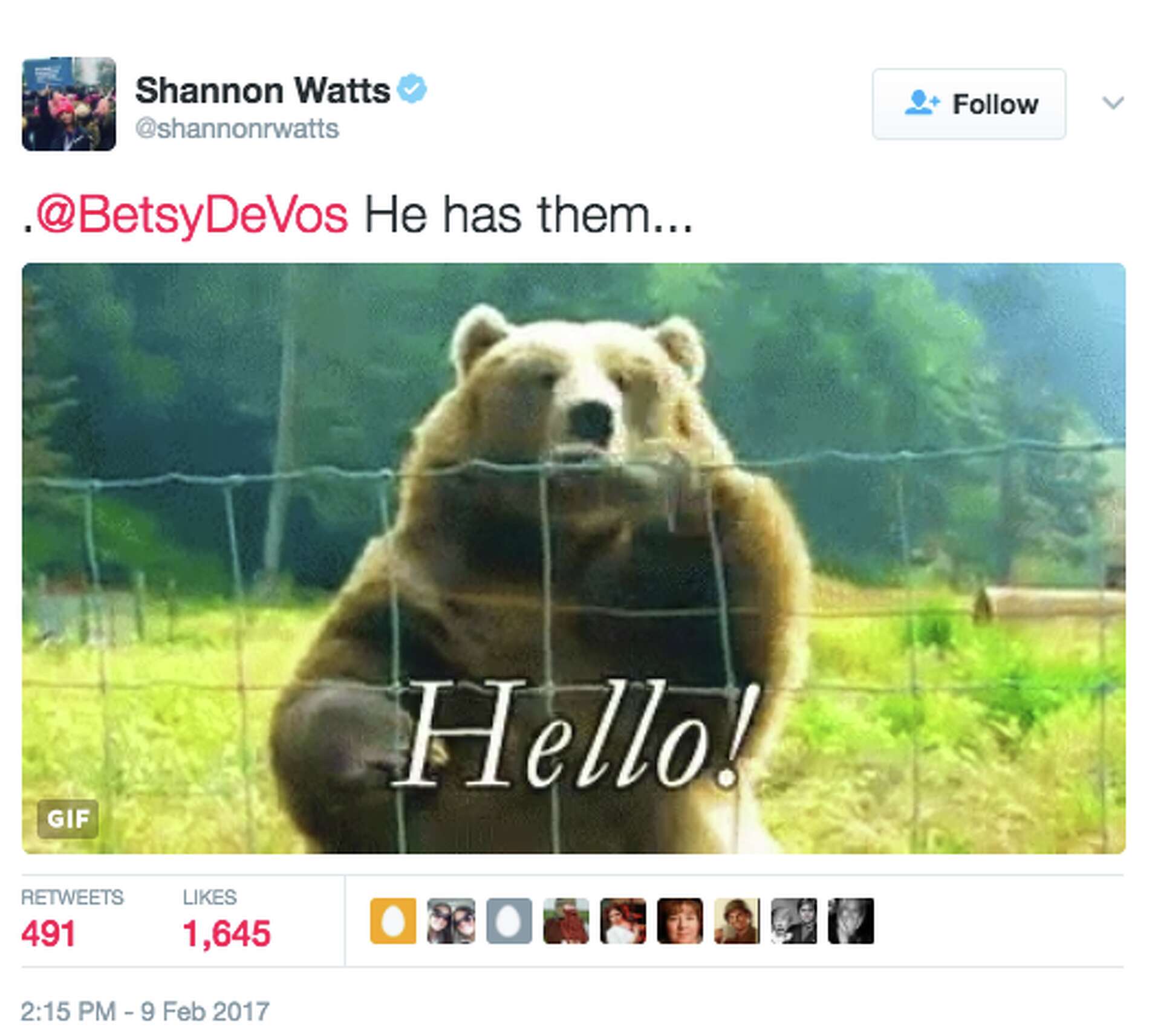 Betsy Devos Brown Bear Meme