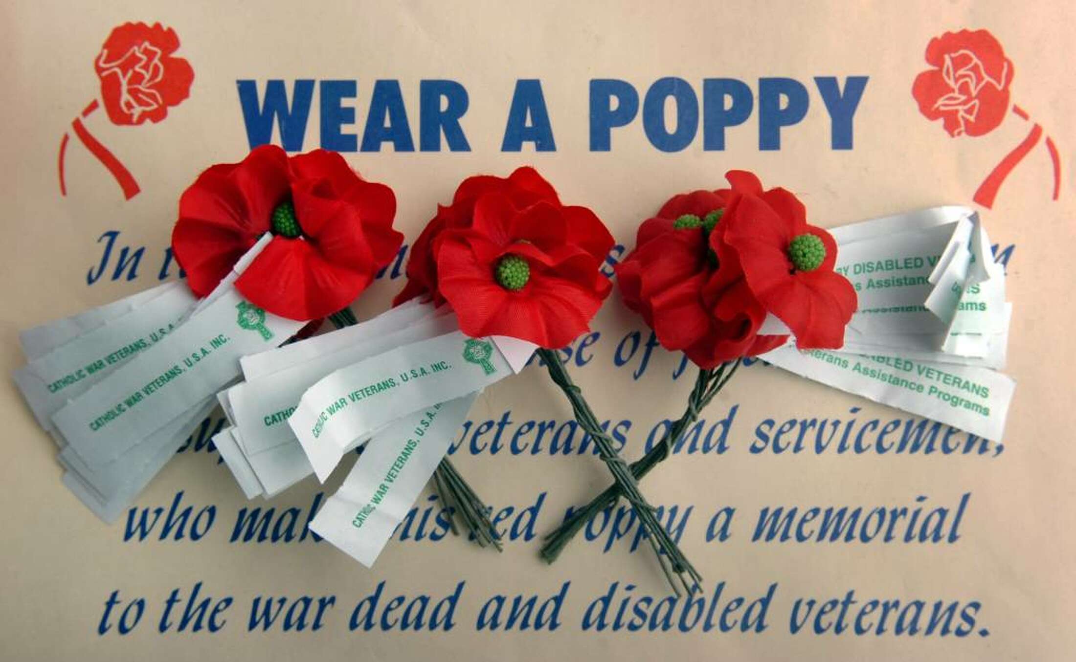Why veterans pass out poppies