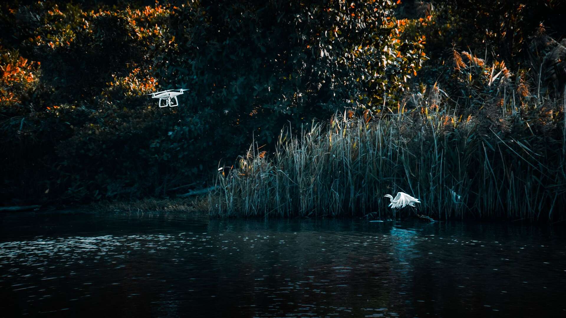 Drone photographers around the world honored in annual SkyPixel aerial ...