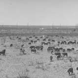 See how West Texas oil business hub Midland has changed through the ...