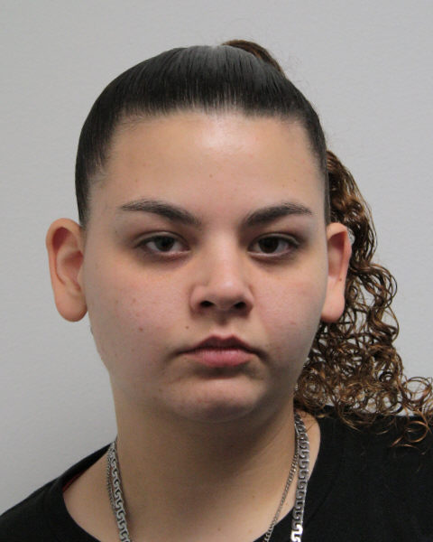 Woman gets 2 years after guilty plea in arson case