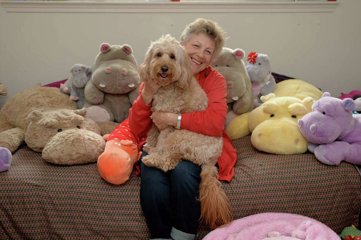 Houston's hippo-artcar lady has more than 2,000 hippos in her home