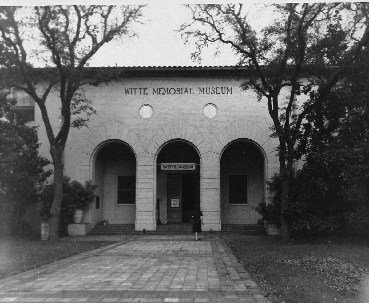 ‘New Witte’ designed for immersive fun