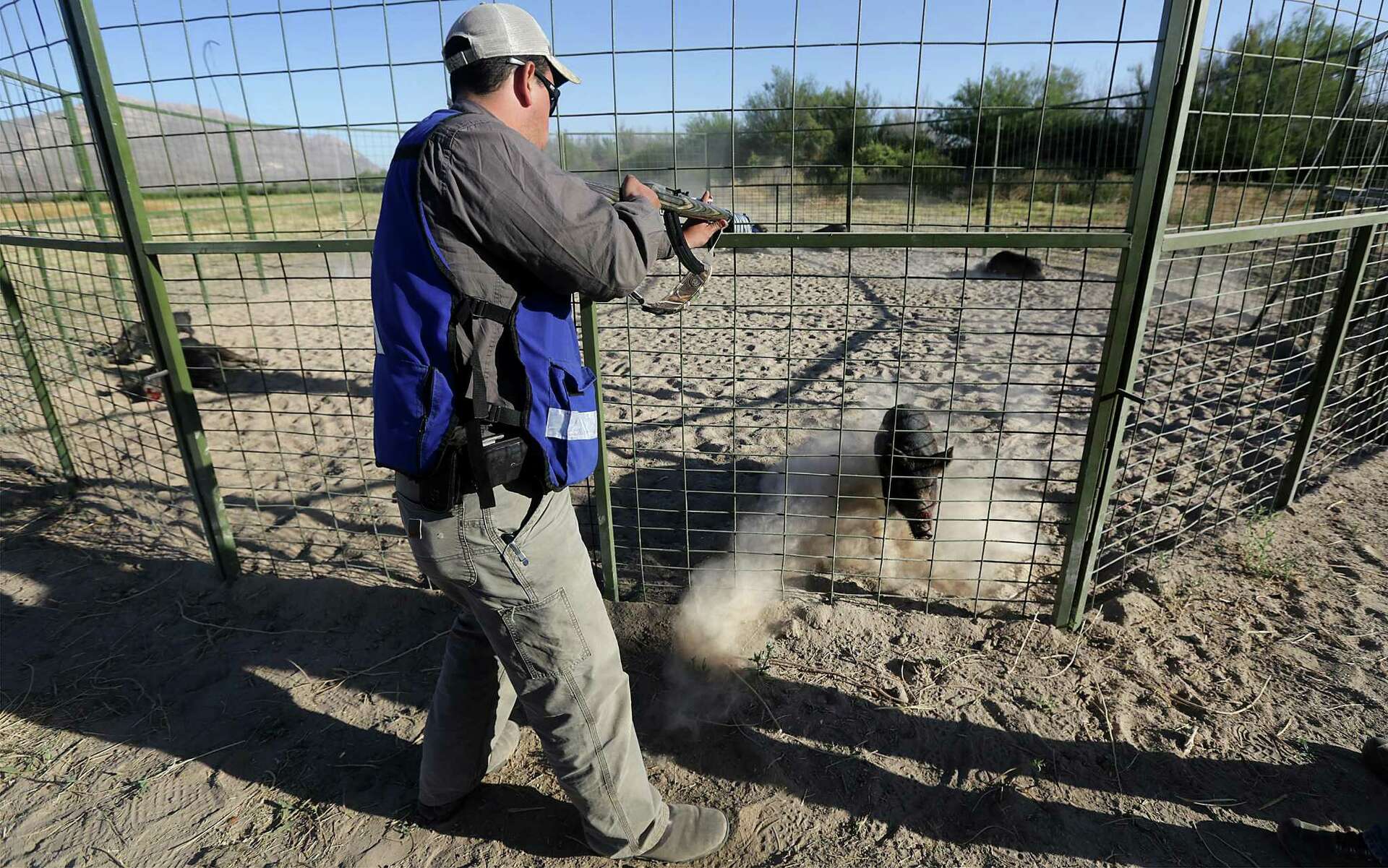 Texas hunters want to put the kibosh on ag commissioner’s ‘feral hog apocalypse’