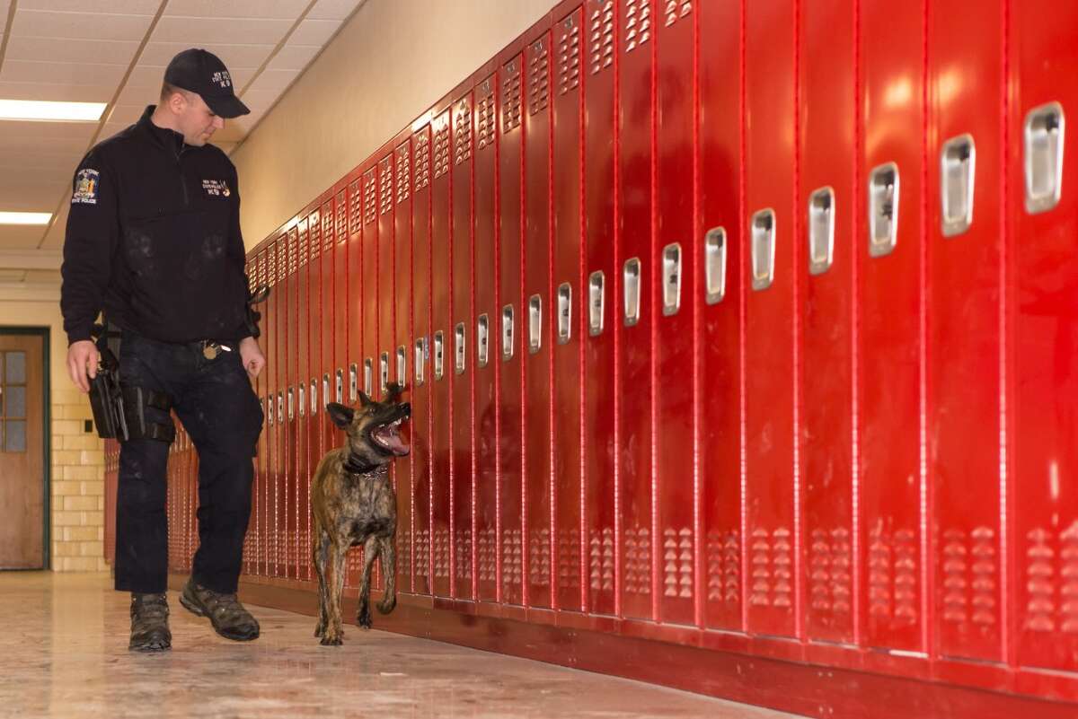 First 2 N.Y. State Police canine handlers recall fierce, friendly dogs