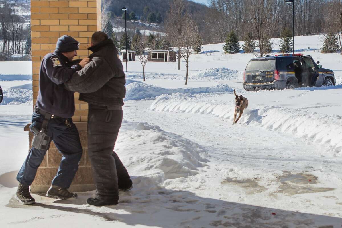 Meet K9 Trooper Ceer, a State Police dog