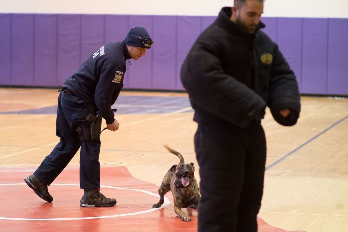 First 2 N.Y. State Police canine handlers recall fierce, friendly dogs