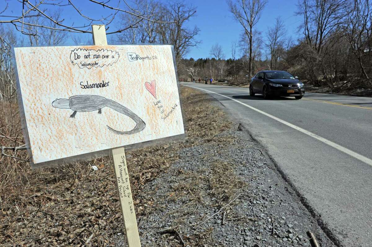 Warm weather could have frogs, salamanders on the move, DEC says