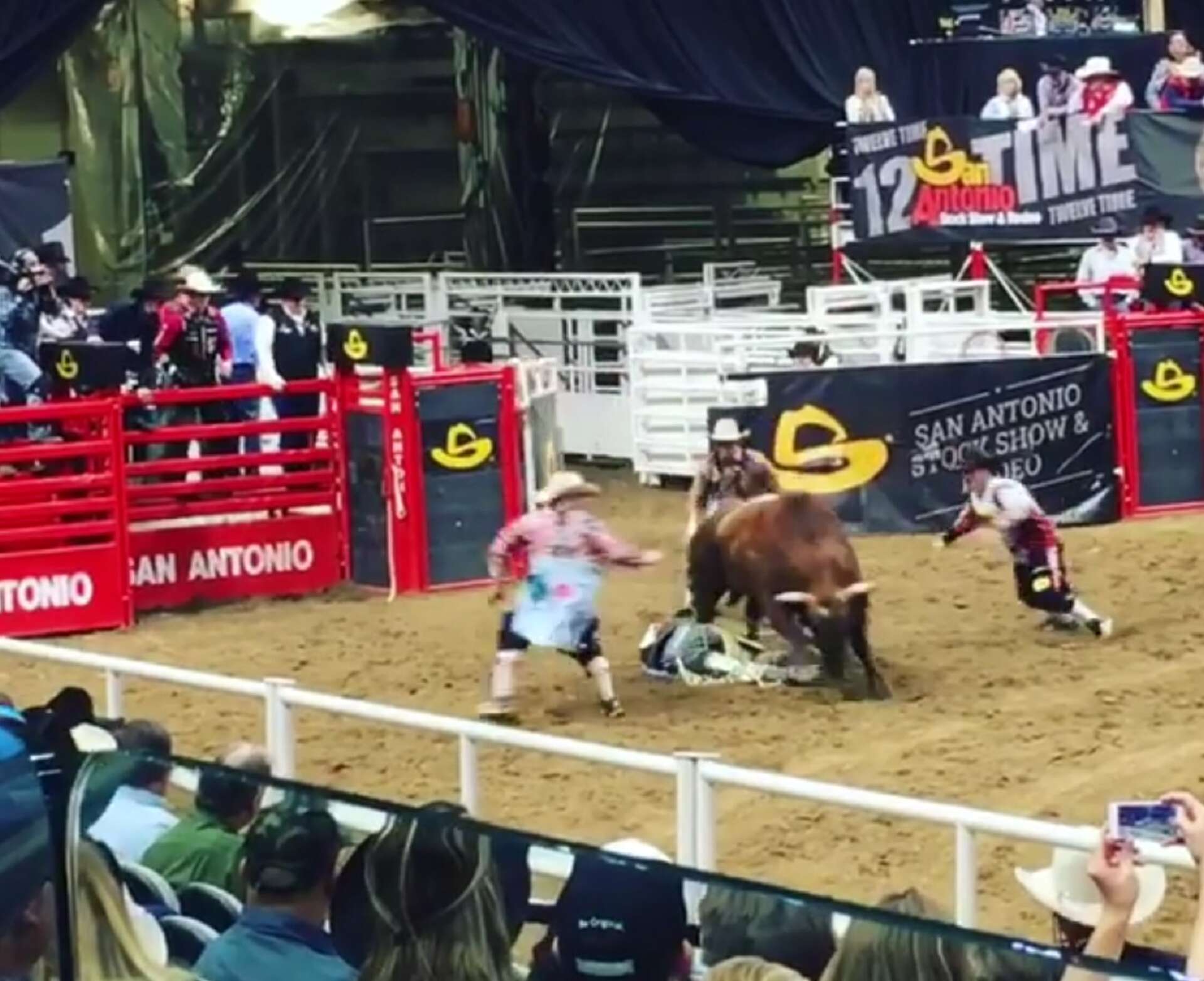 Video shows bull rider go 'down cold' during San Antonio Stock Show & Rodeo
