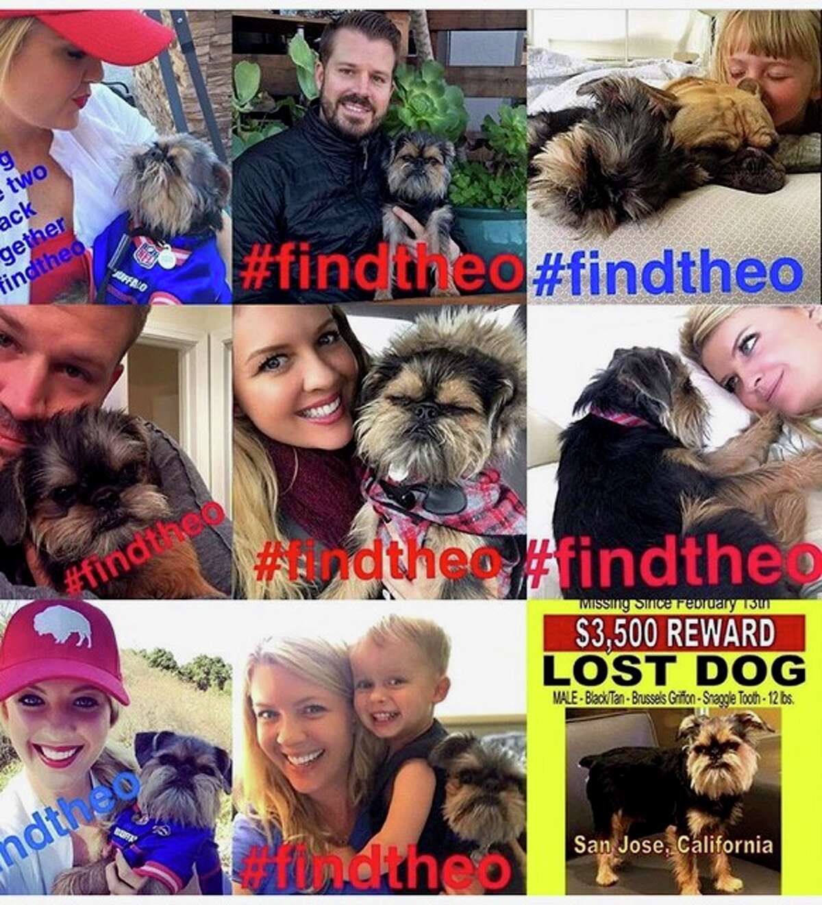 South Bay couple desperate to find missing dog, postpones wedding