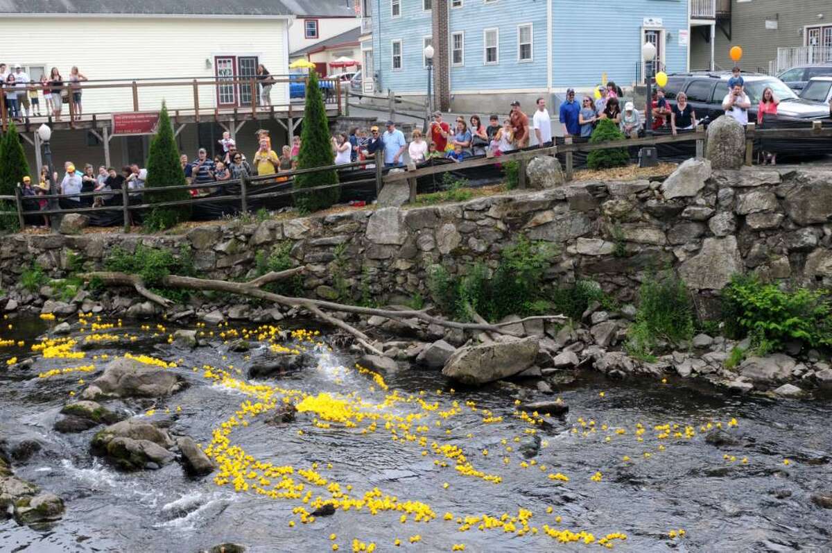 The Great Pootatuck Duck race returns