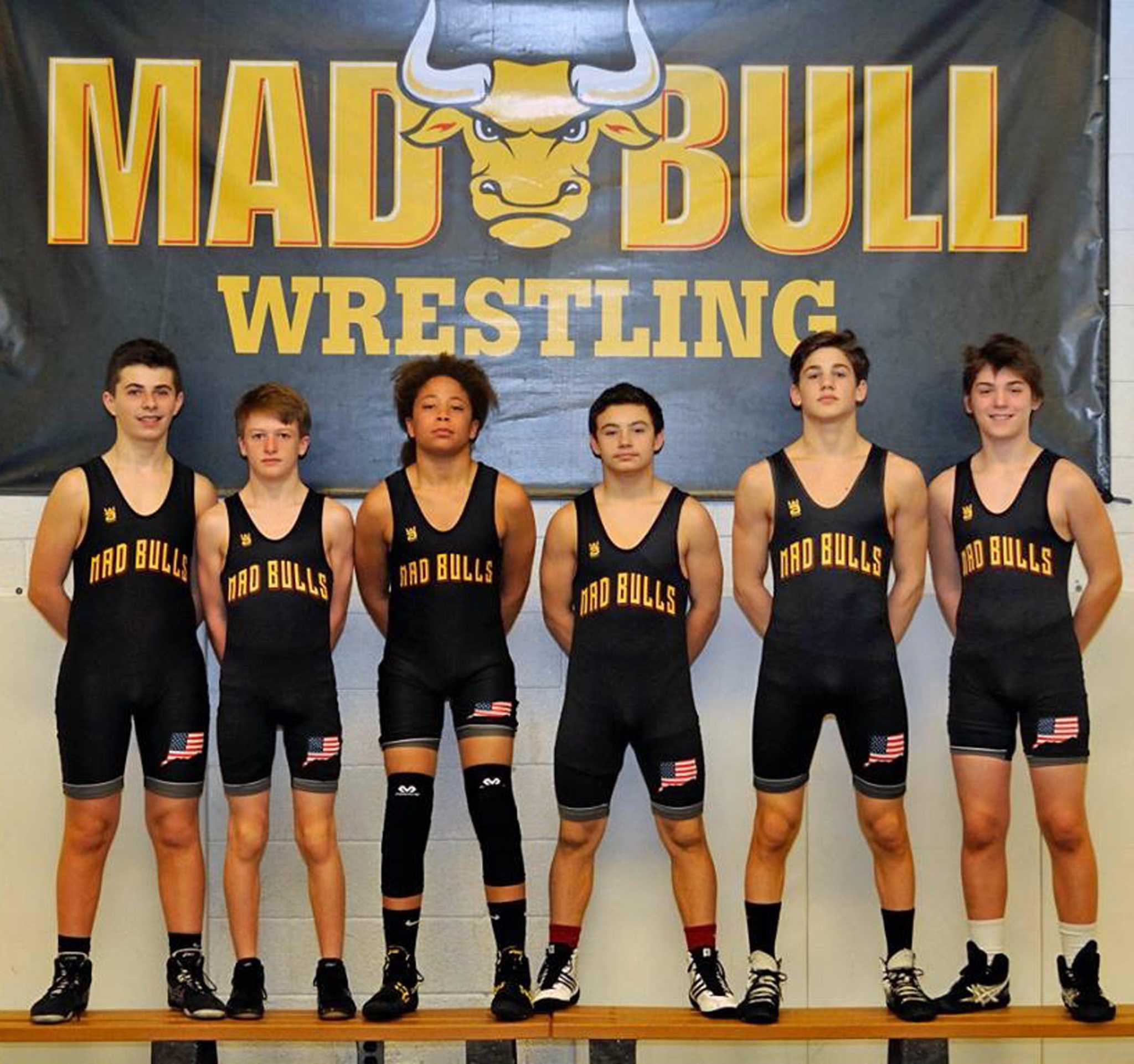 Mad Bulls shine at state championship meet